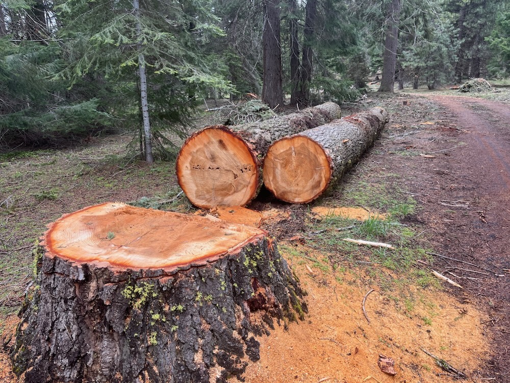 BLM Logs the Cascade-Siskiyou National Monument as the Supreme Court ...
